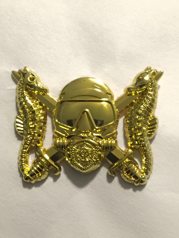 PSD Uniform pin Public Safety Diver Pin | Tri-Star Scuba
